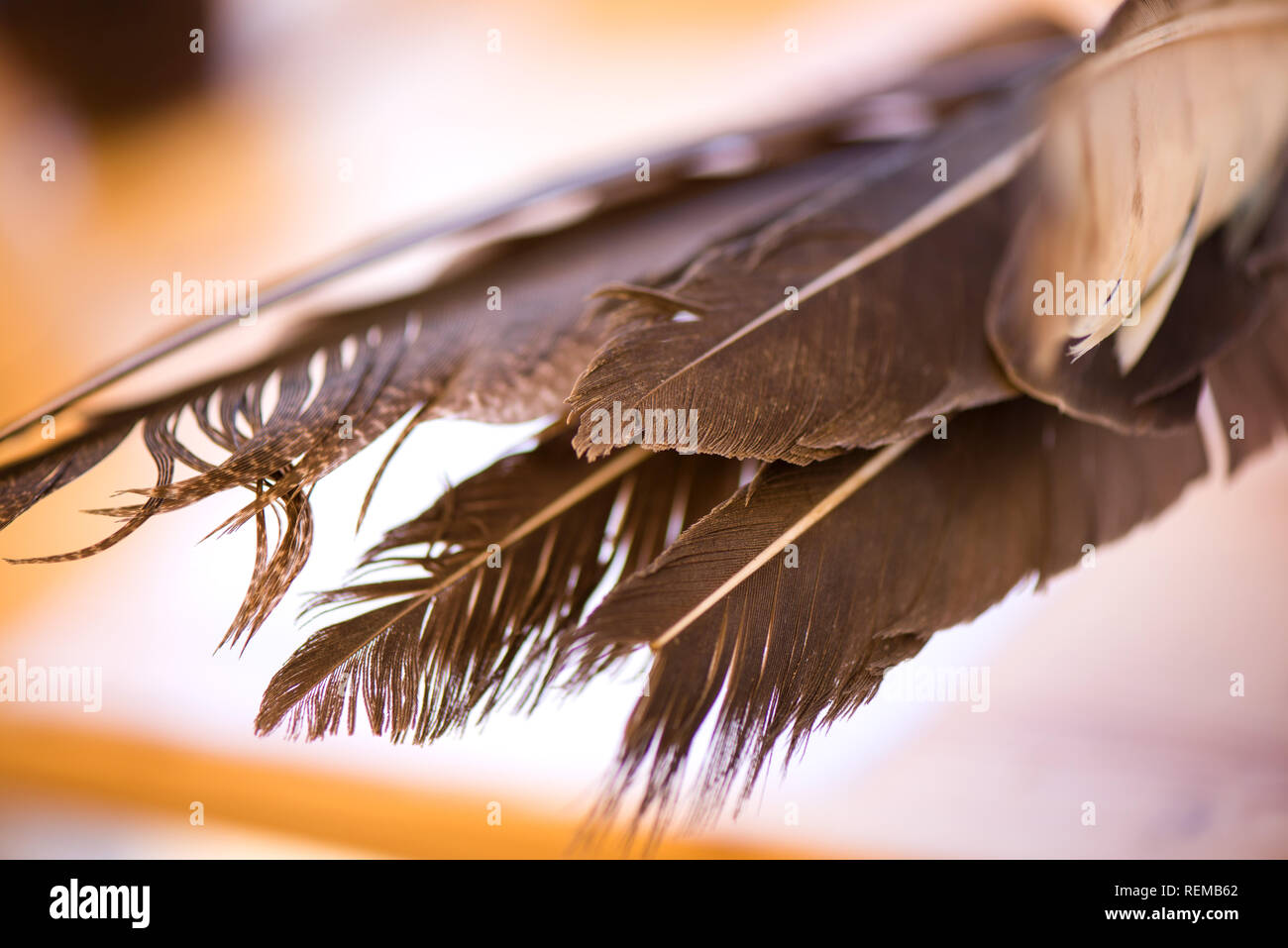 Feather pen in clay inkwell. Medieval, vintage, retro background ...