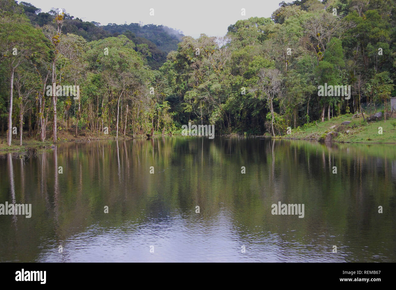 Lake overview with trees Stock Photo - Alamy