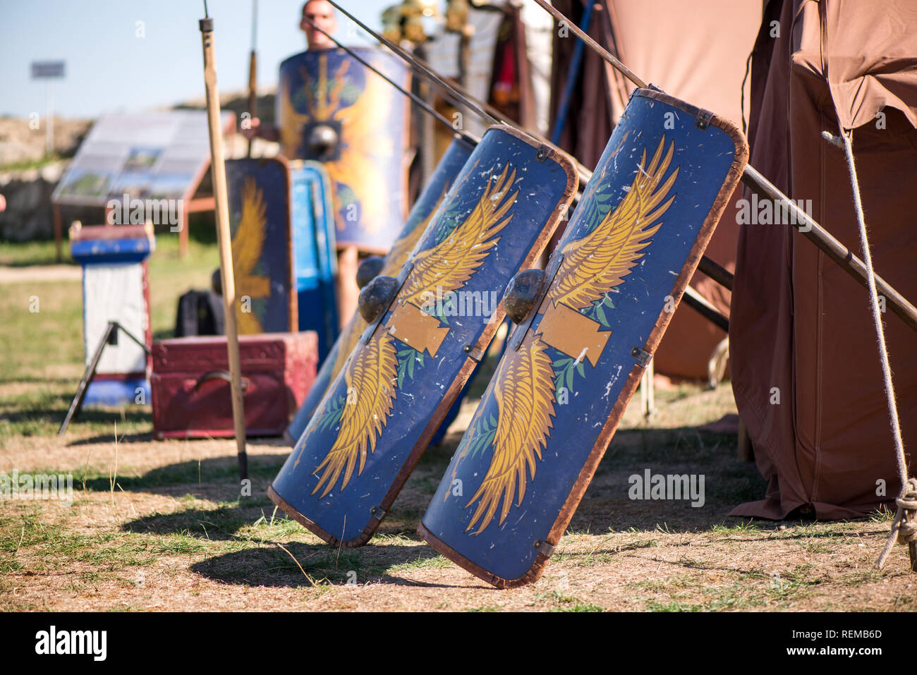 Medieval shields in a row. Weapons prepared for fight, battle of war ...