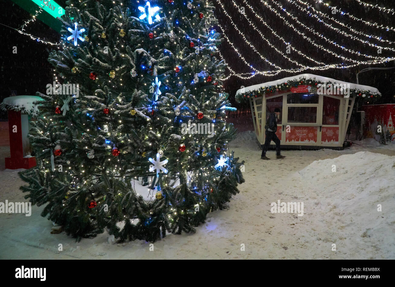Moscow, Russia - January 02, 2019: Christmas tree outdoors in ...