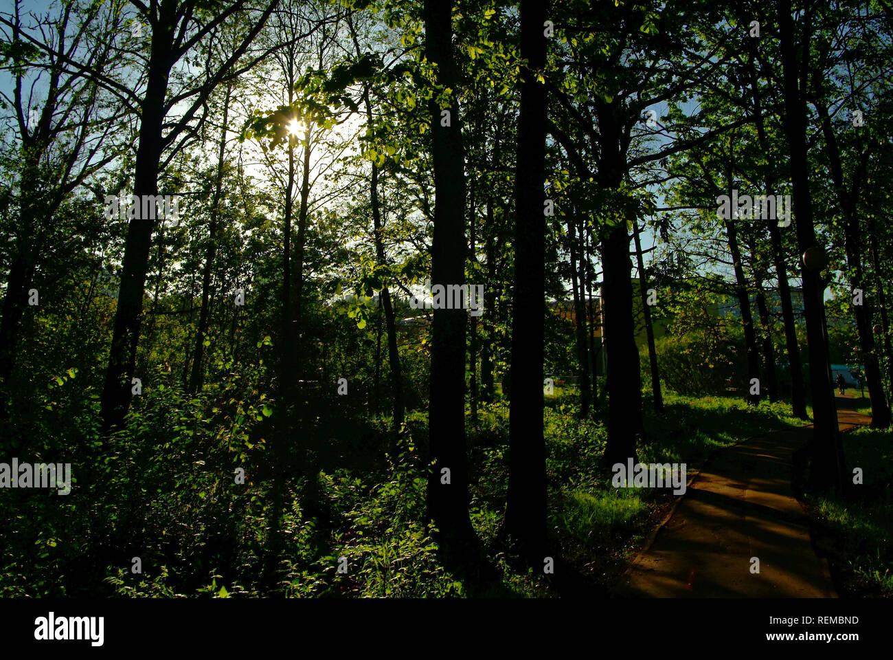 Asphalt design hi-res stock photography and images - Alamy