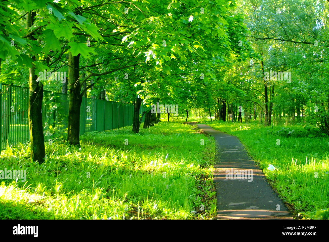 Asphalt design hi-res stock photography and images - Alamy