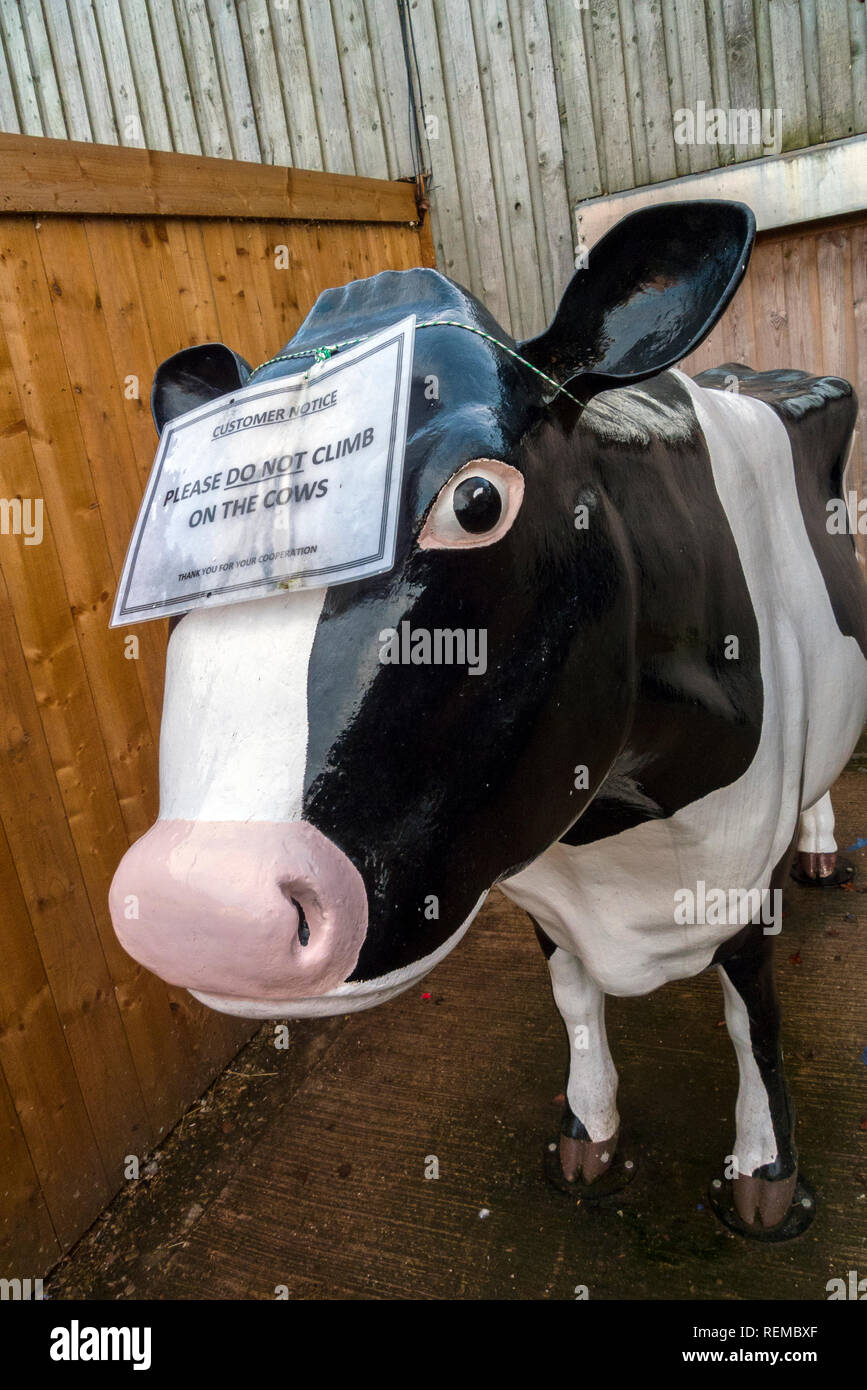 Life Size Model Of Cow High Resolution Stock Photography and Images - Alamy