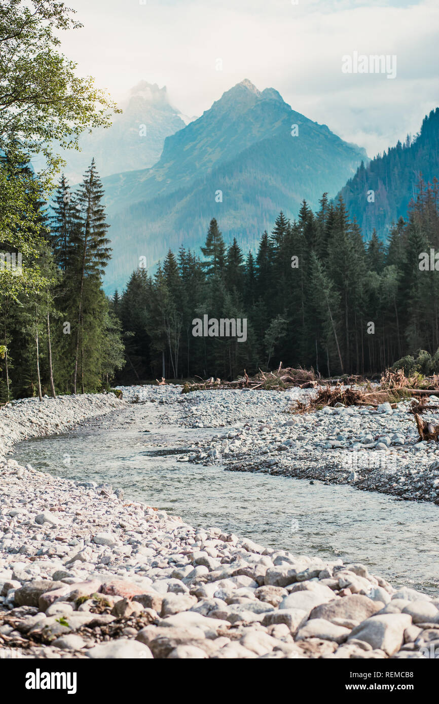 Mountain river valley landscape. Natural scenery of the mountain stream ...