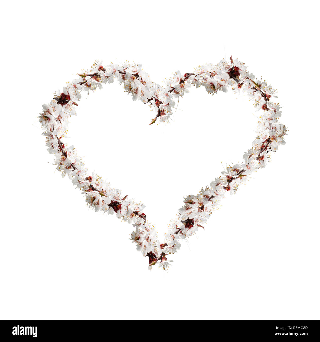 Background sakura blossom in Cut Out Stock Images & Pictures - Alamy