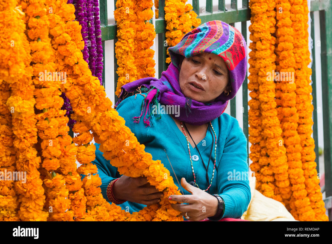 Tihar nepal hi-res stock photography and images - Alamy