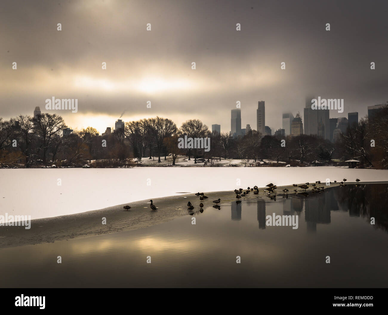 Central park nyc mist hi-res stock photography and images - Alamy
