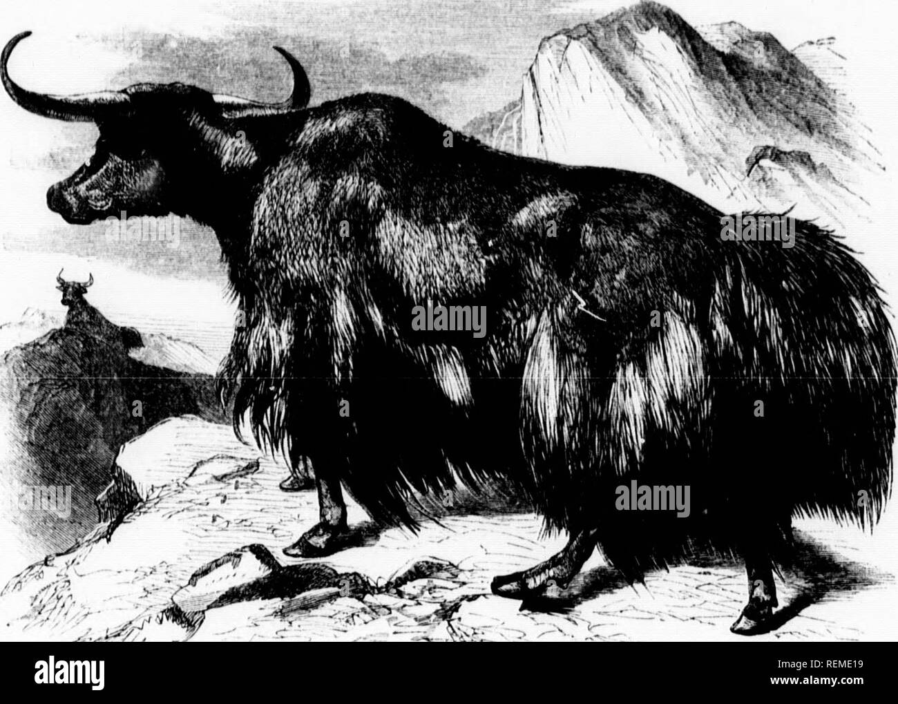 Shallow pit Black and White Stock Photos & Images - Alamy