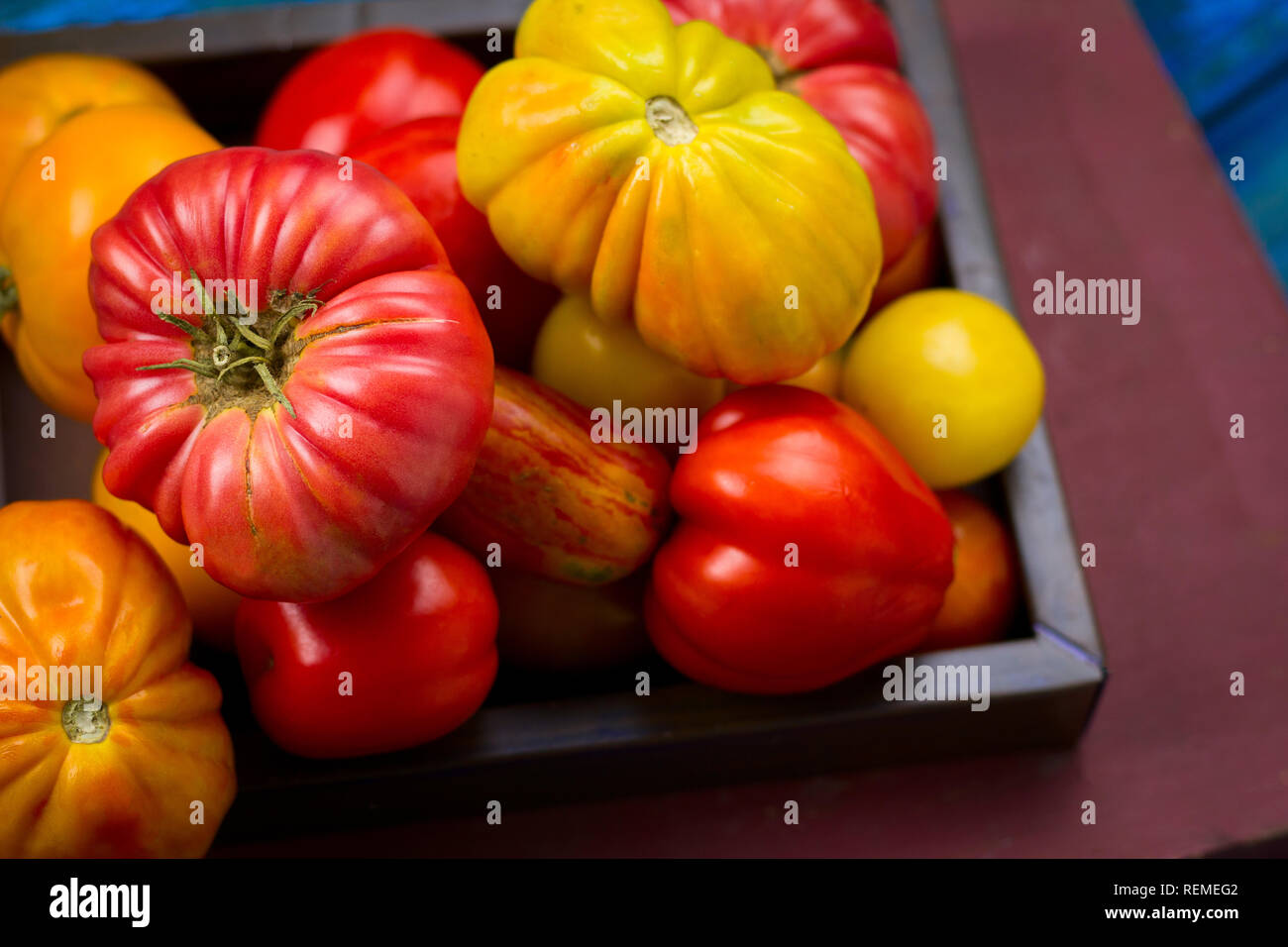Sorting tomatoes grading hi-res stock photography and images - Alamy