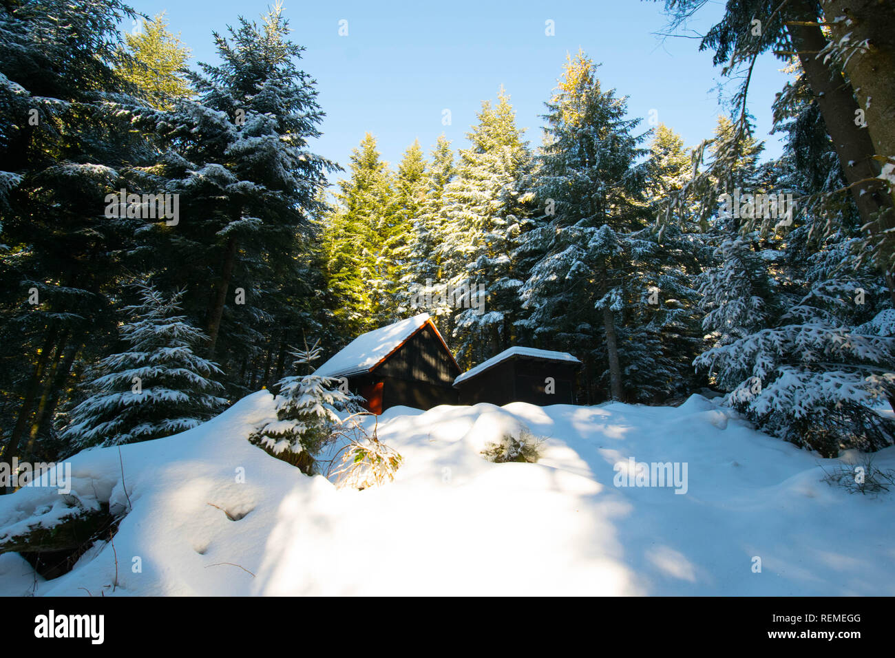 Beautiful winter in the black forest in germany near peterstal ...