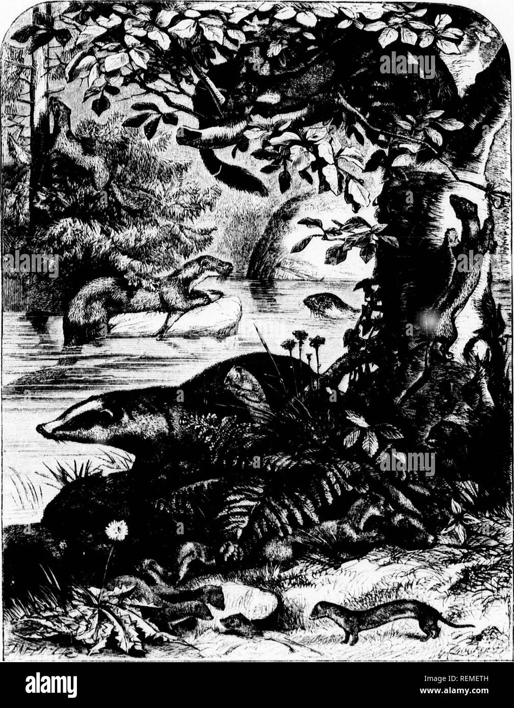 Illustrated hi res Black and White Stock Photos & Images - Alamy