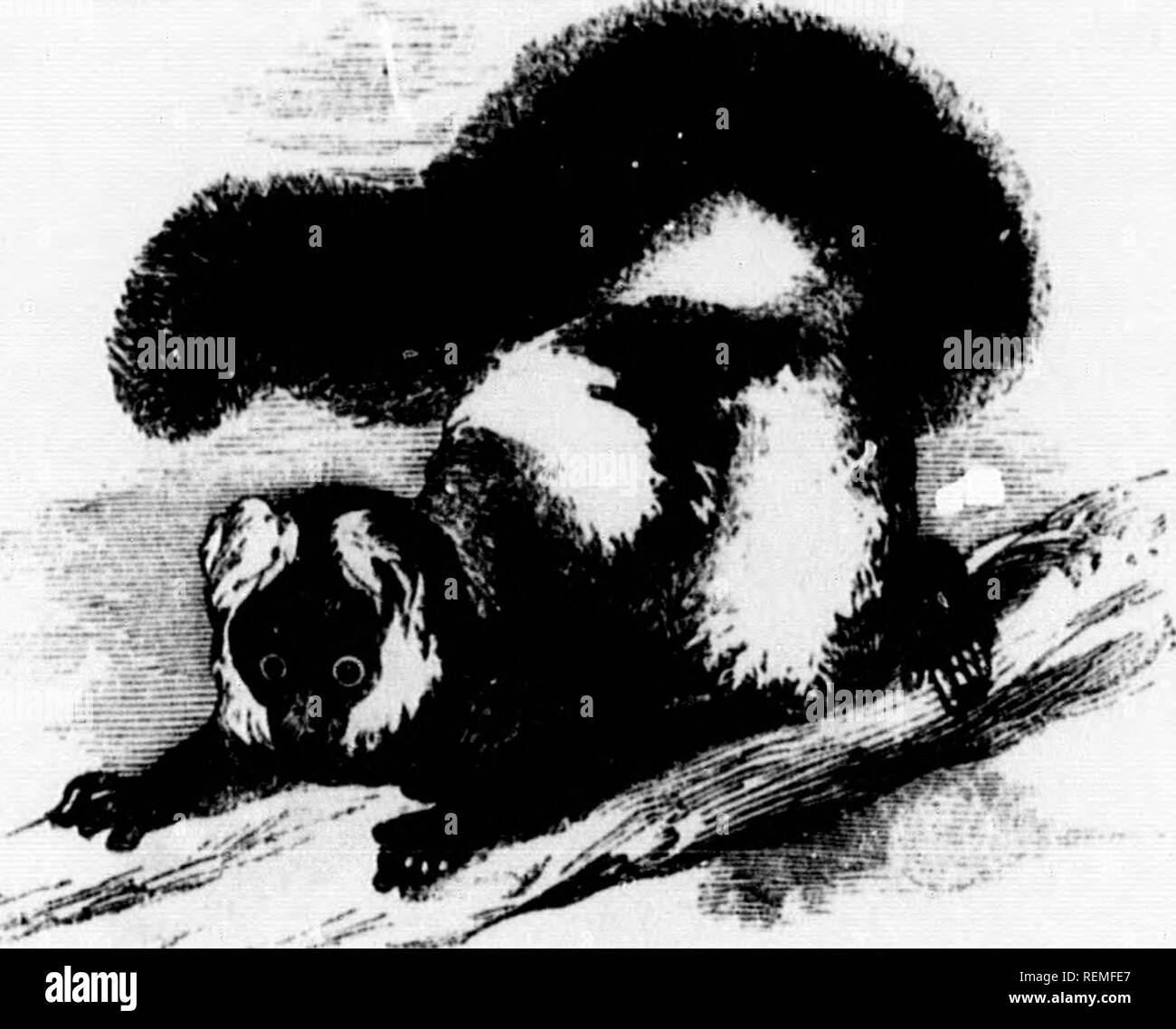 John lemm hi-res stock photography and images - Alamy