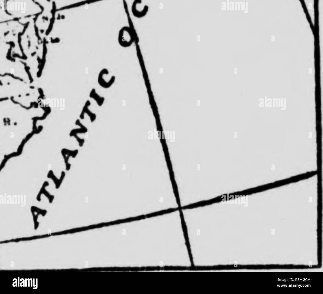 Leaves fall from tall trees Black and White Stock Photos & Images - Alamy