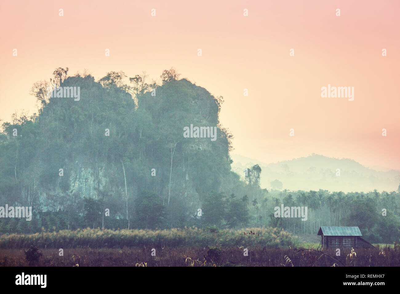 Rural landscapes in Northern Thailand Stock Photo - Alamy