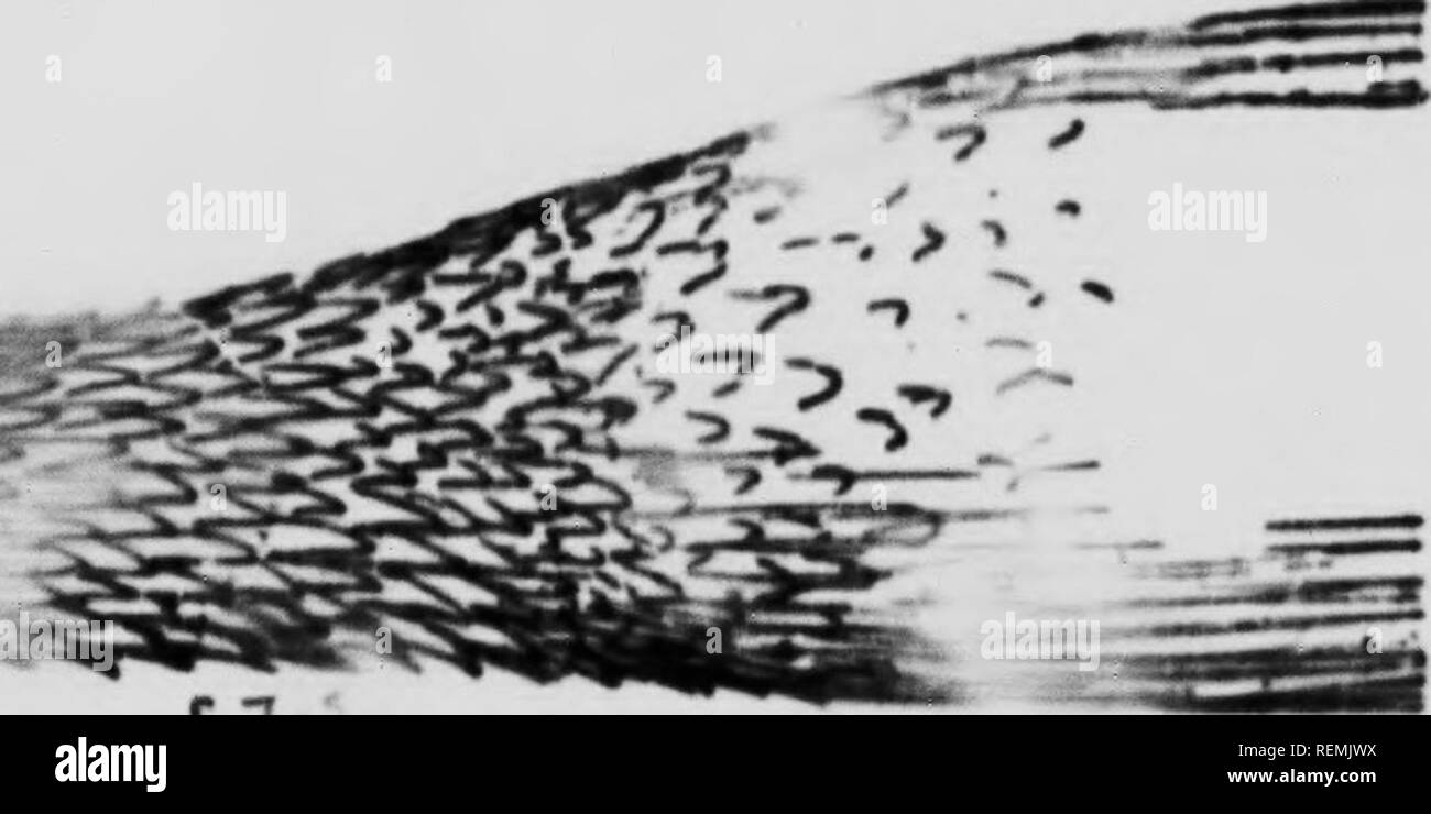 Thrashed Black and White Stock Photos & Images - Alamy