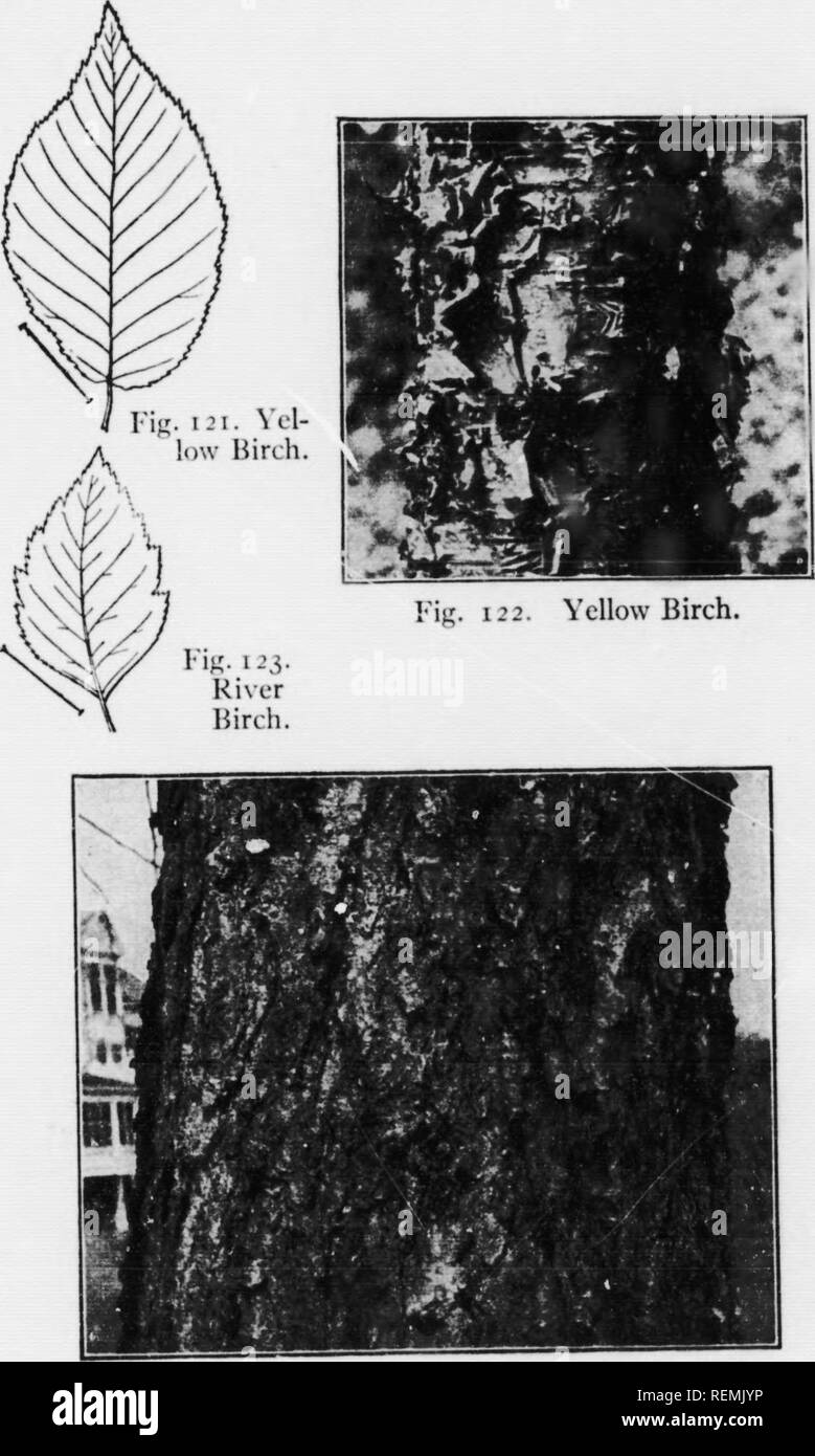 J W W Birch High Resolution Stock Photography and Images - Alamy