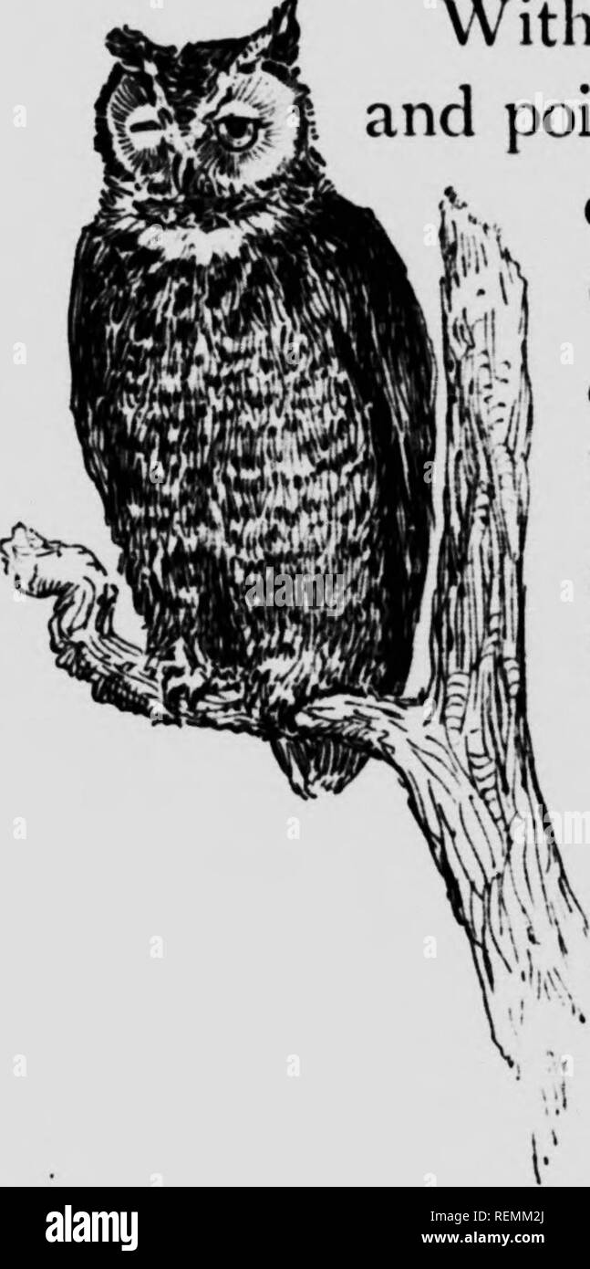 Eagle bit Black and White Stock Photos & Images - Alamy