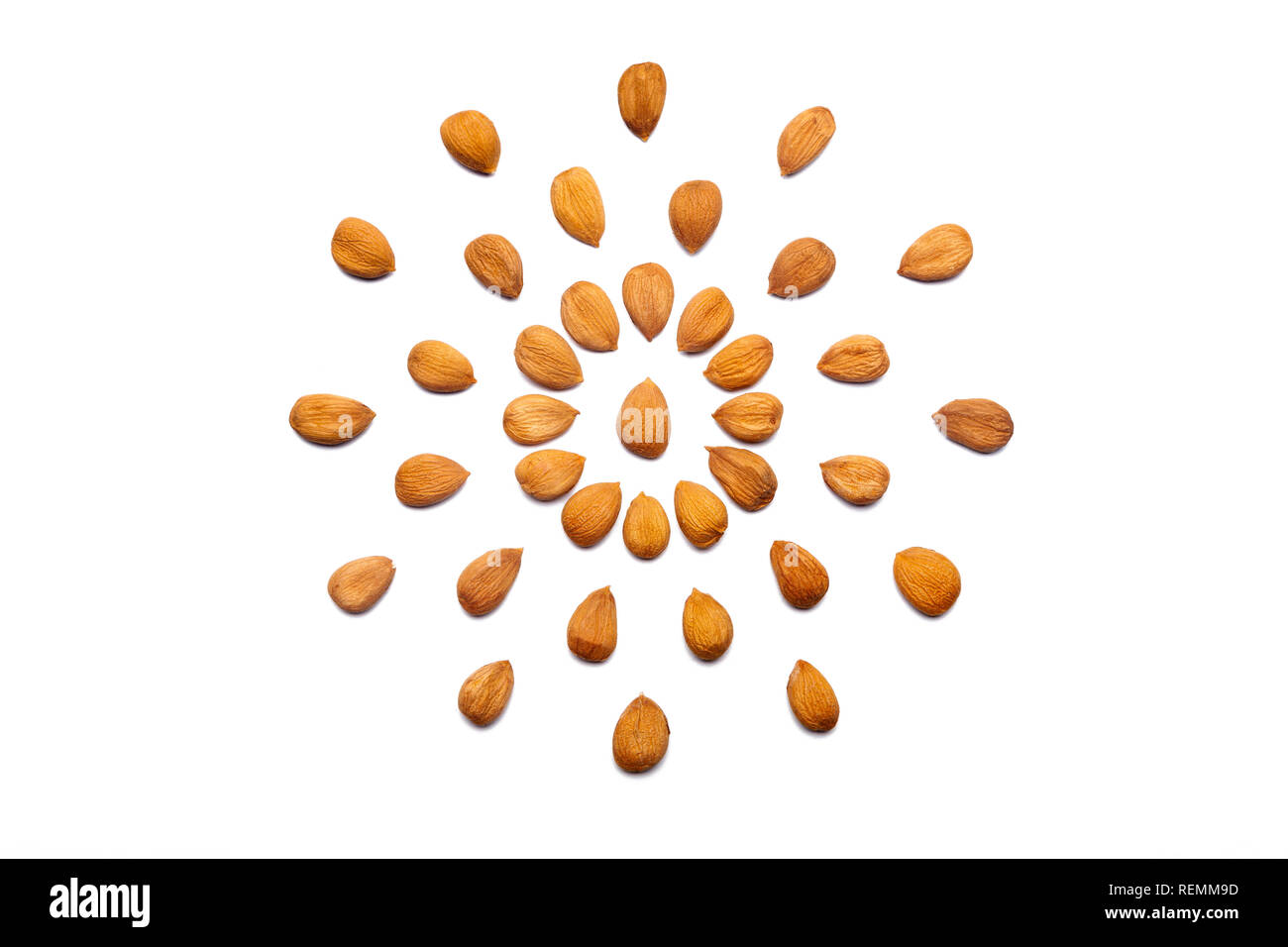 Pattern of Nuts - peeled apricot stone on a white background in the ...
