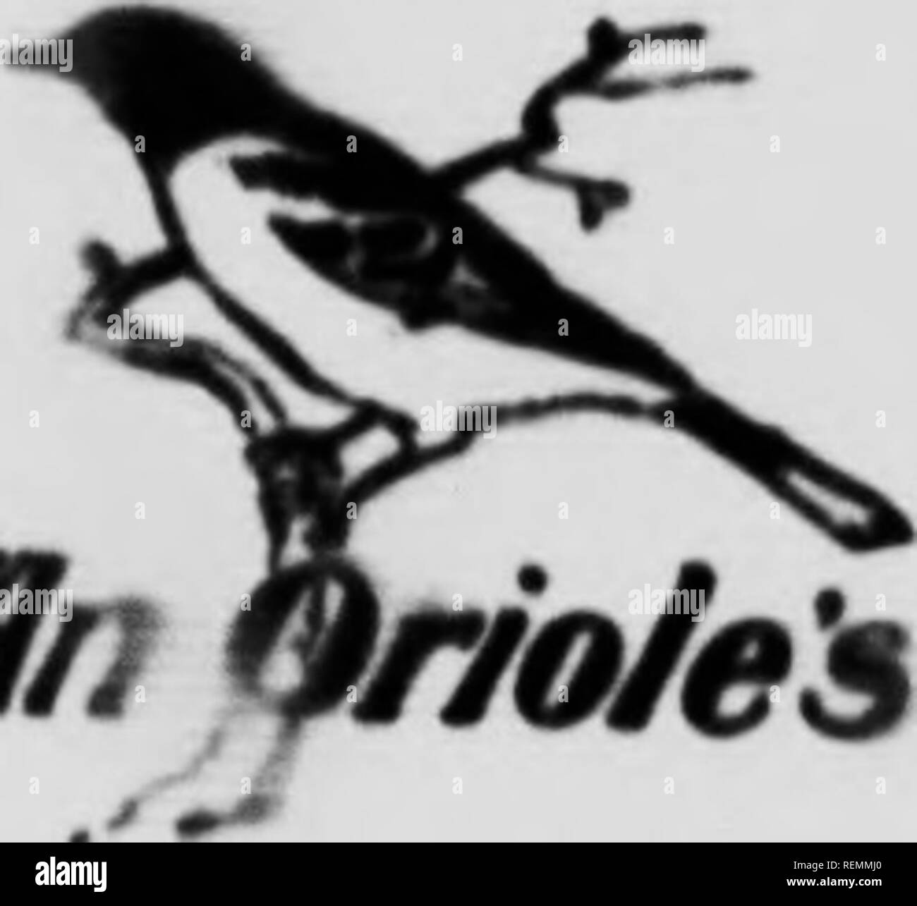 Male breeding territories Black and White Stock Photos & Images - Alamy