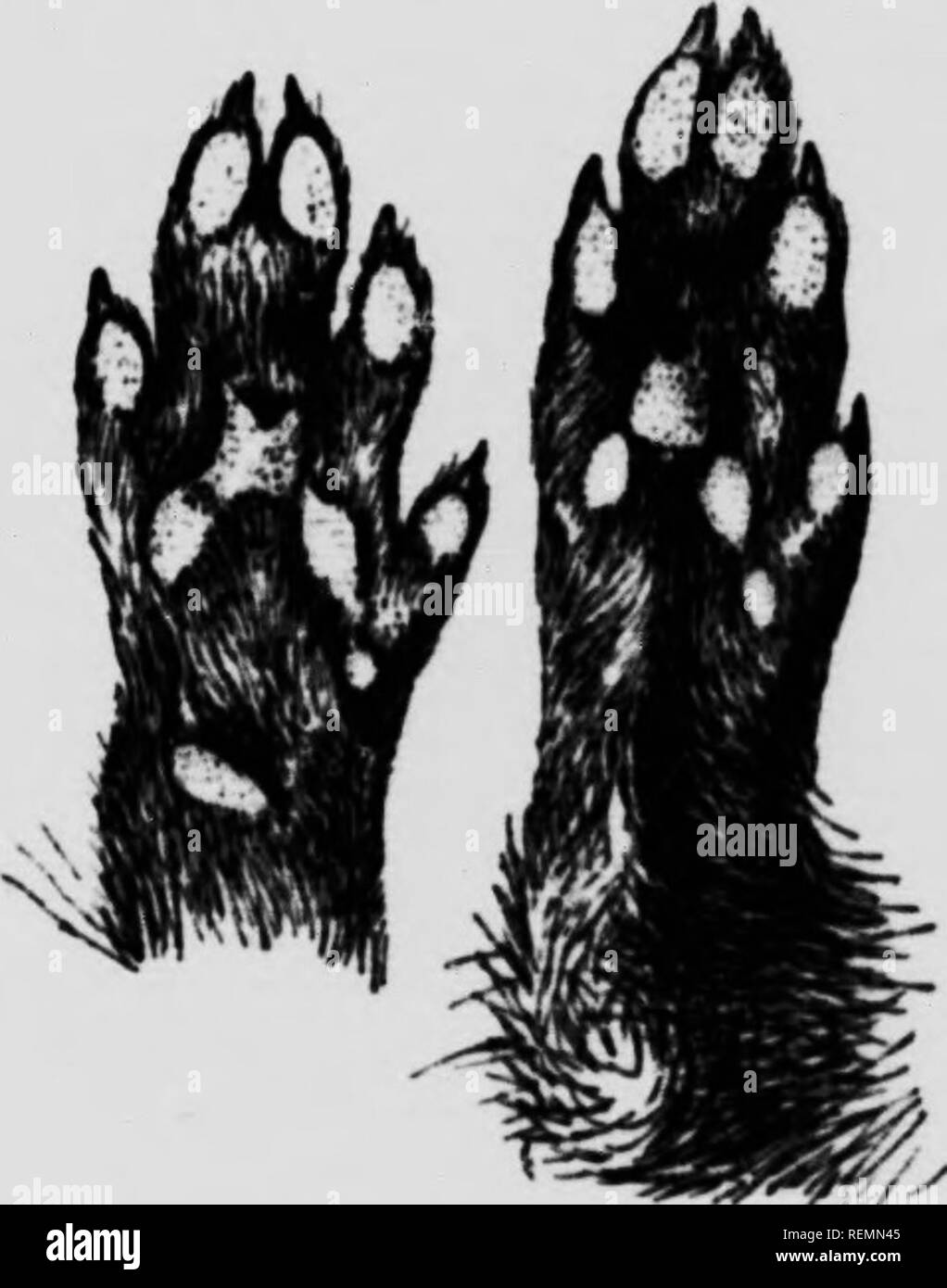 10 pounds scale hi-res stock photography and images - Alamy