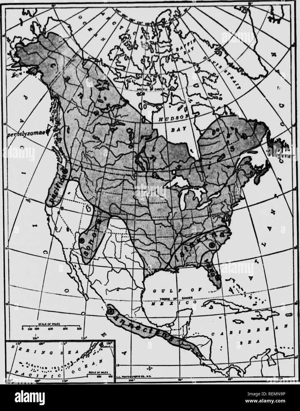 Unmarked map hi-res stock photography and images - Alamy