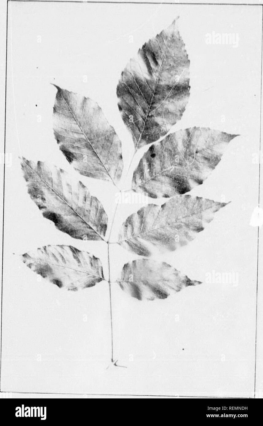 Ex est Black and White Stock Photos & Images - Alamy