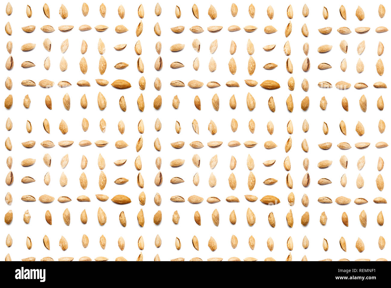 A collection of peeled almonds Badam lie in horizontal rows on an ...