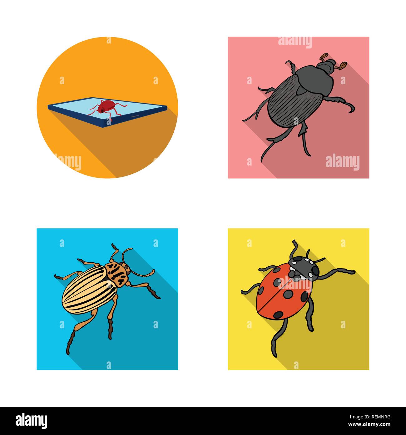 horn,ladybug,cockroach,pest,bug,insect,beetle,animal,halloween,drawn ...
