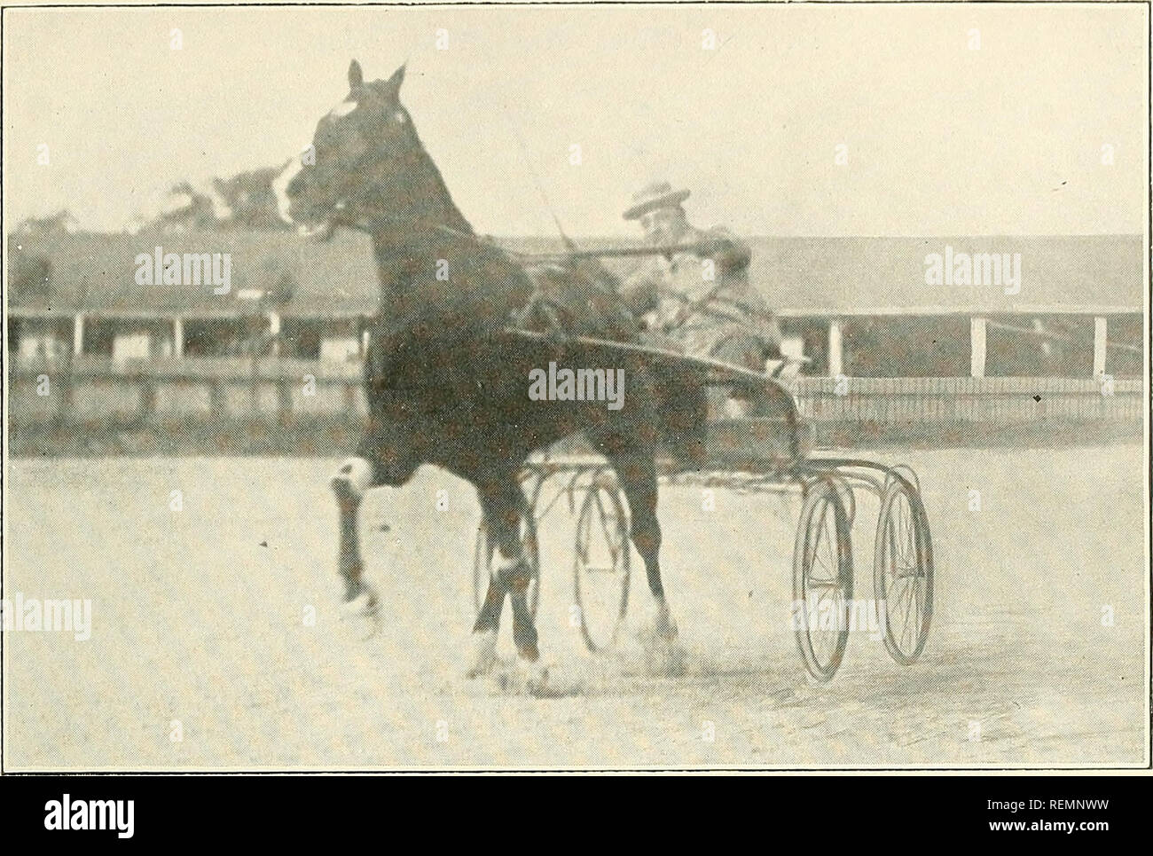 . The driving clubs of greater Boston ... Horse racing; Horses. EARLY ...