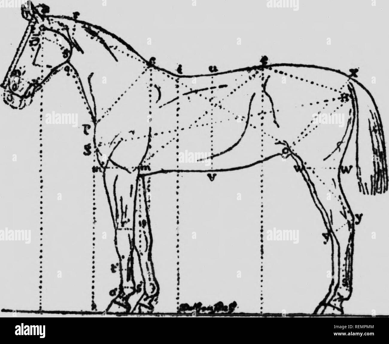 Meilleur soin hi-res stock photography and images - Alamy