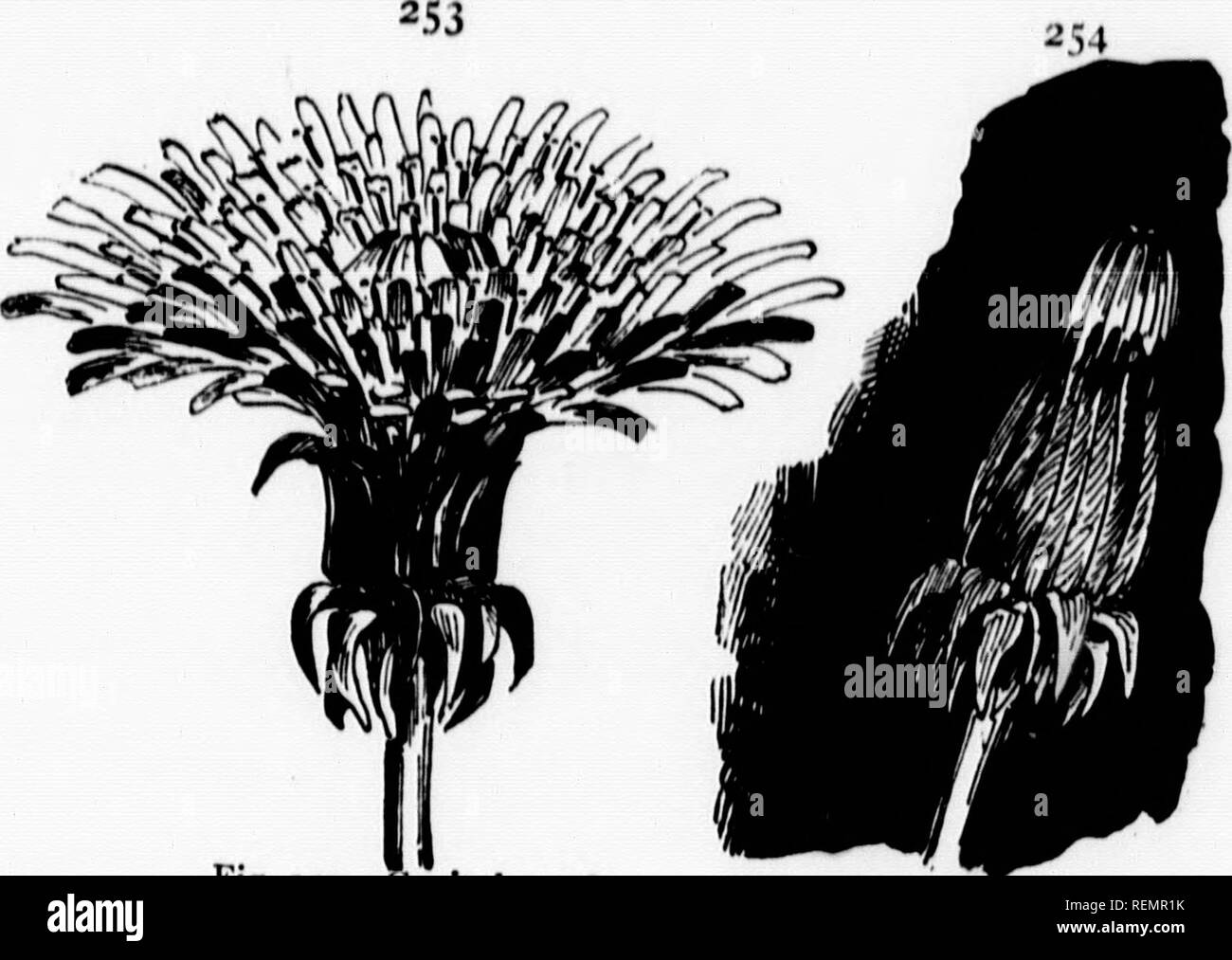 Evenine hi-res stock photography and images - Alamy