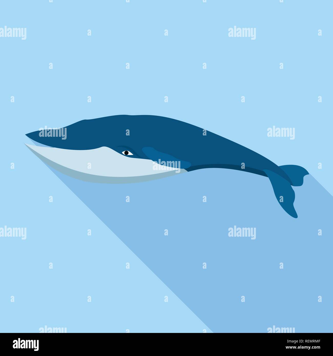 Greenland whale underwater hi-res stock photography and images - Alamy
