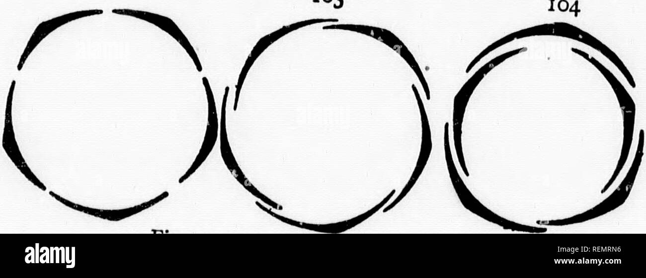 Estivation hi-res stock photography and images - Alamy