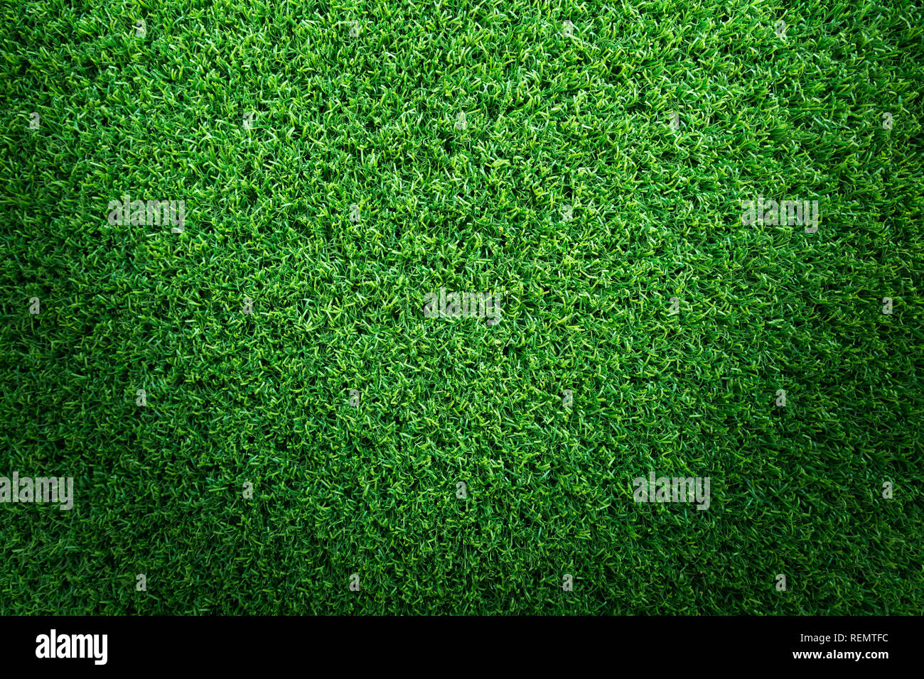 Grass texture background for golf course, soccer field or sports ...