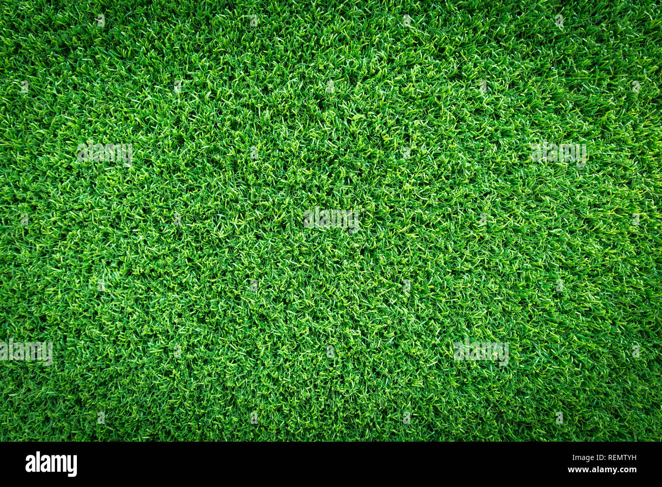 Golf Course Grass Texture