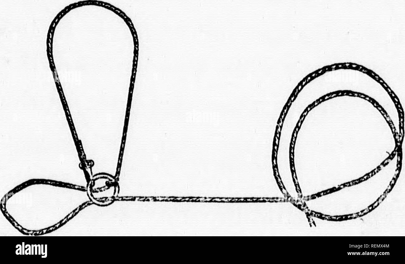 Rid educator hi-res stock photography and images - Alamy