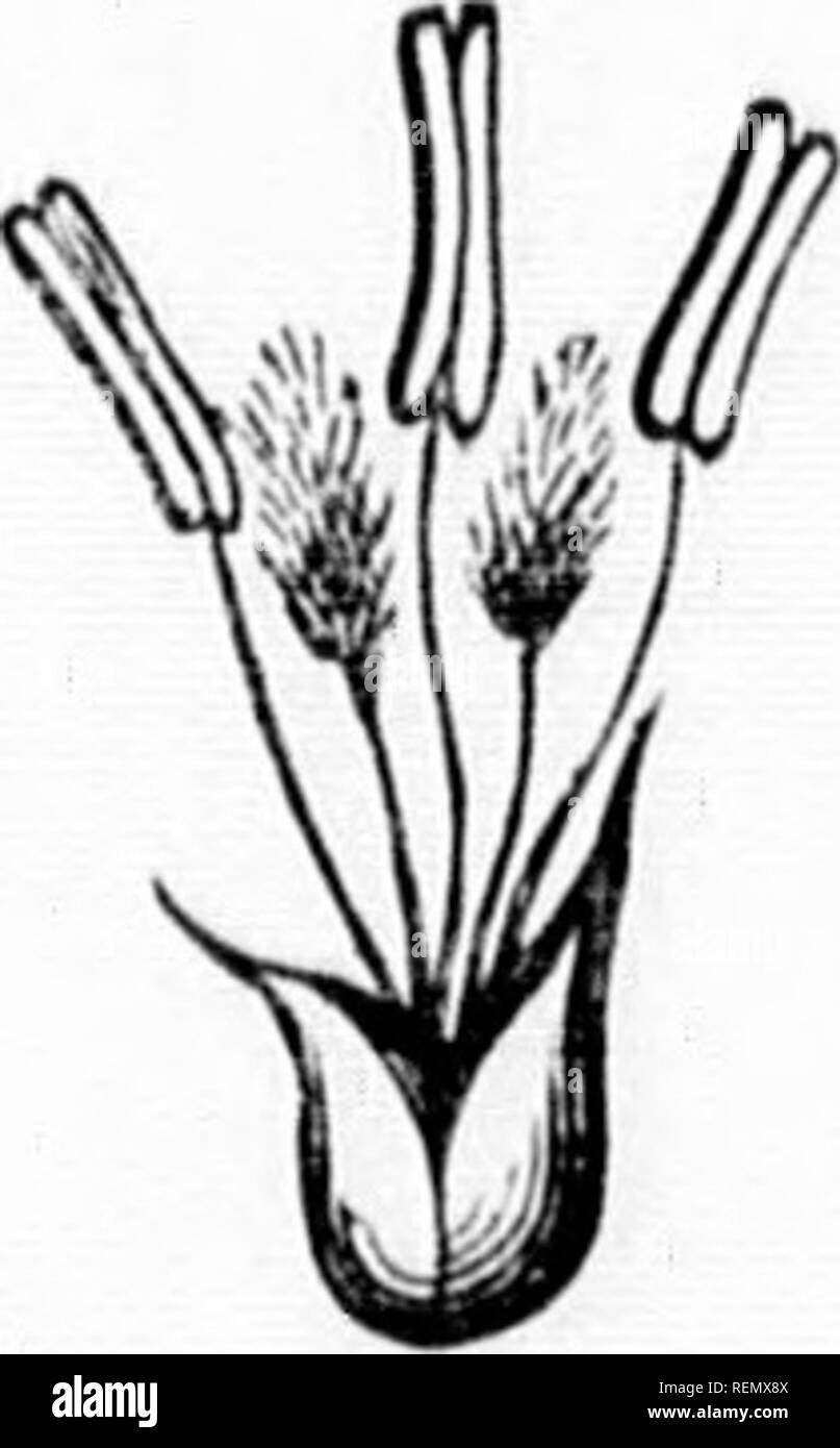 Cultivating the moat hi-res stock photography and images - Alamy