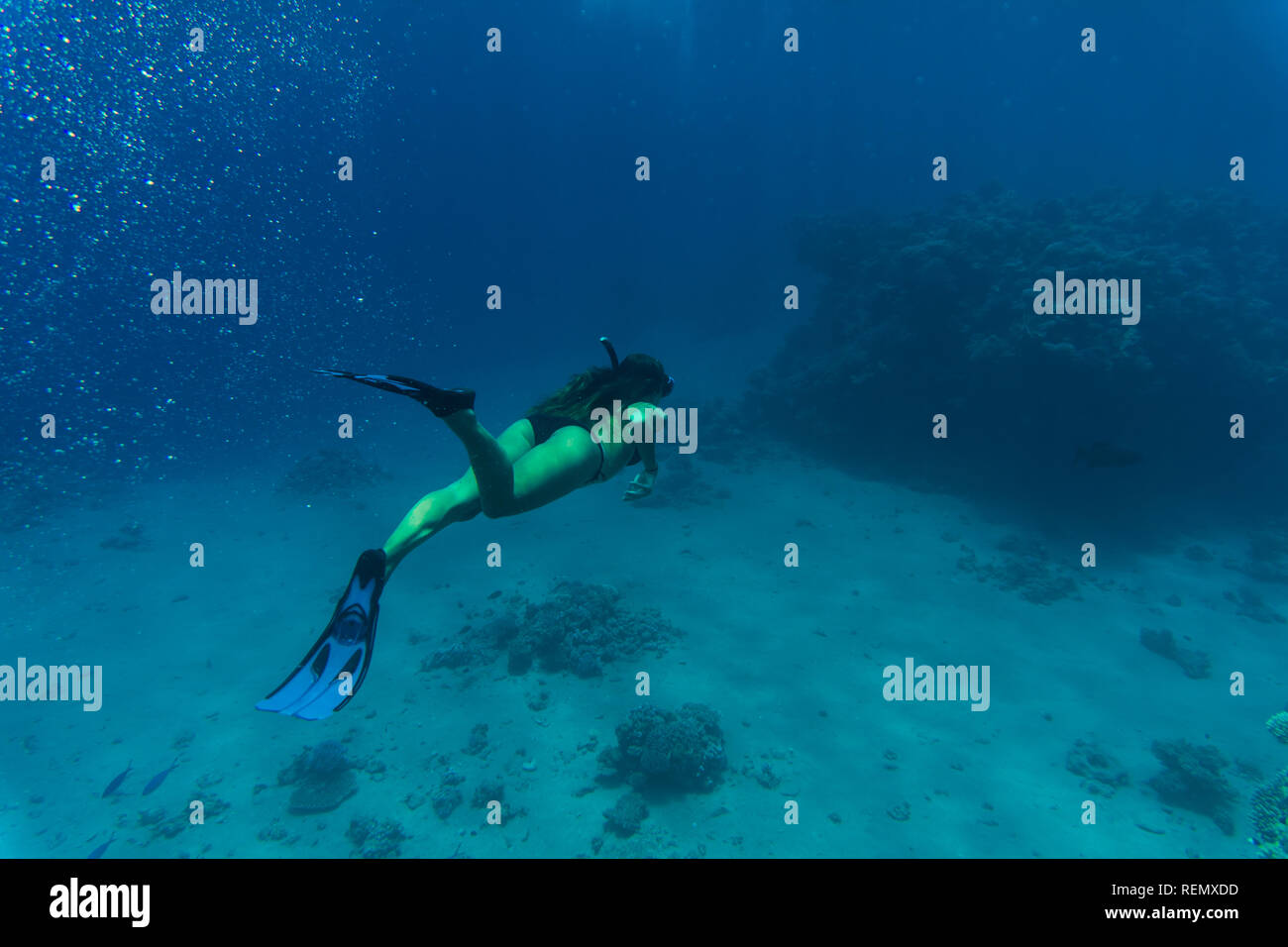 Coral flare hi-res stock photography and images - Alamy