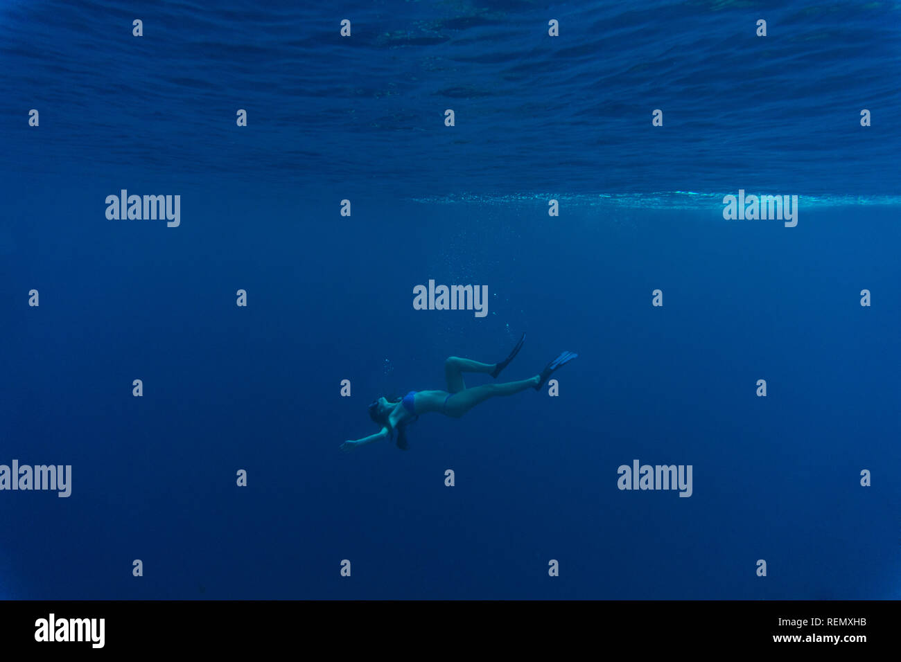 Girl dive underwater scene. Snorkeling woman diver Stock Photo - Alamy