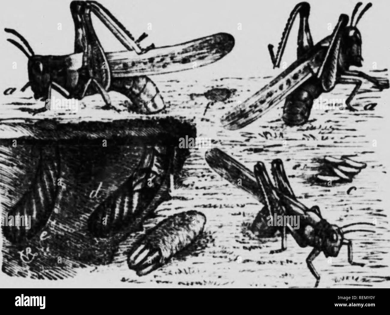 Short histories Black and White Stock Photos & Images - Alamy