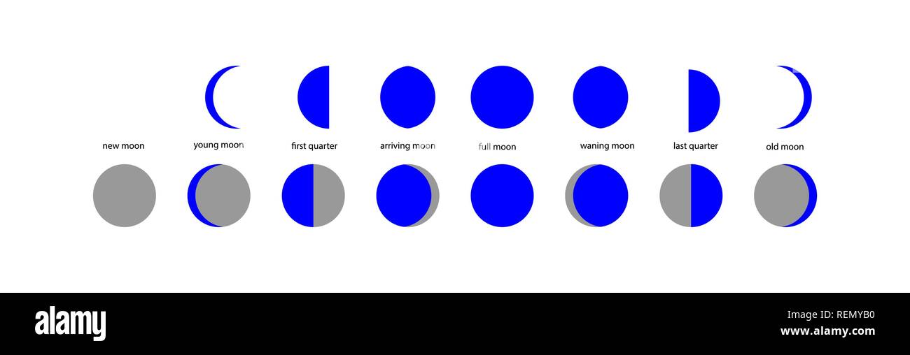 Set of simple illustrations of moon phases with text explanation Stock ...