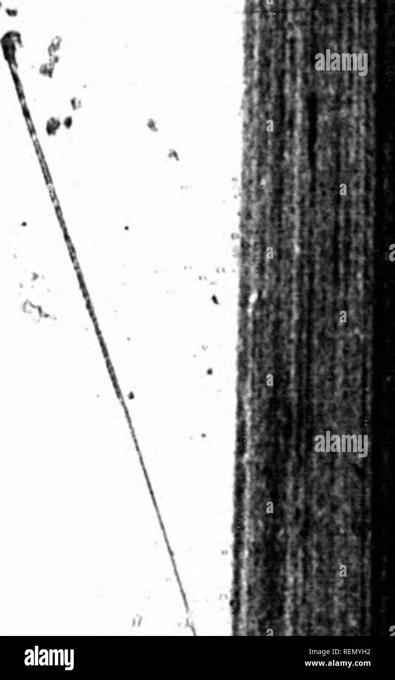 Rulo bridge hi-res stock photography and images - Alamy