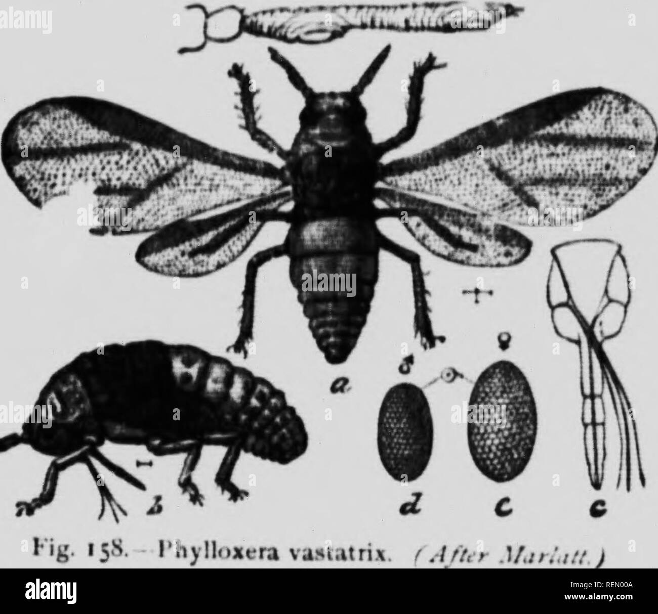 Classic of the millions Black and White Stock Photos & Images - Alamy