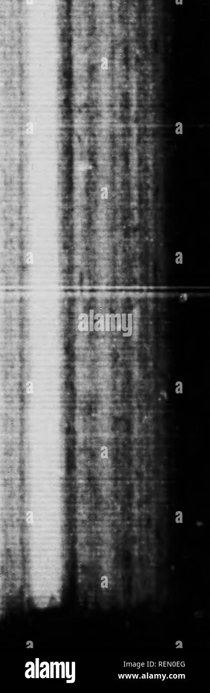 Kerr microscope hi-res stock photography and images - Alamy