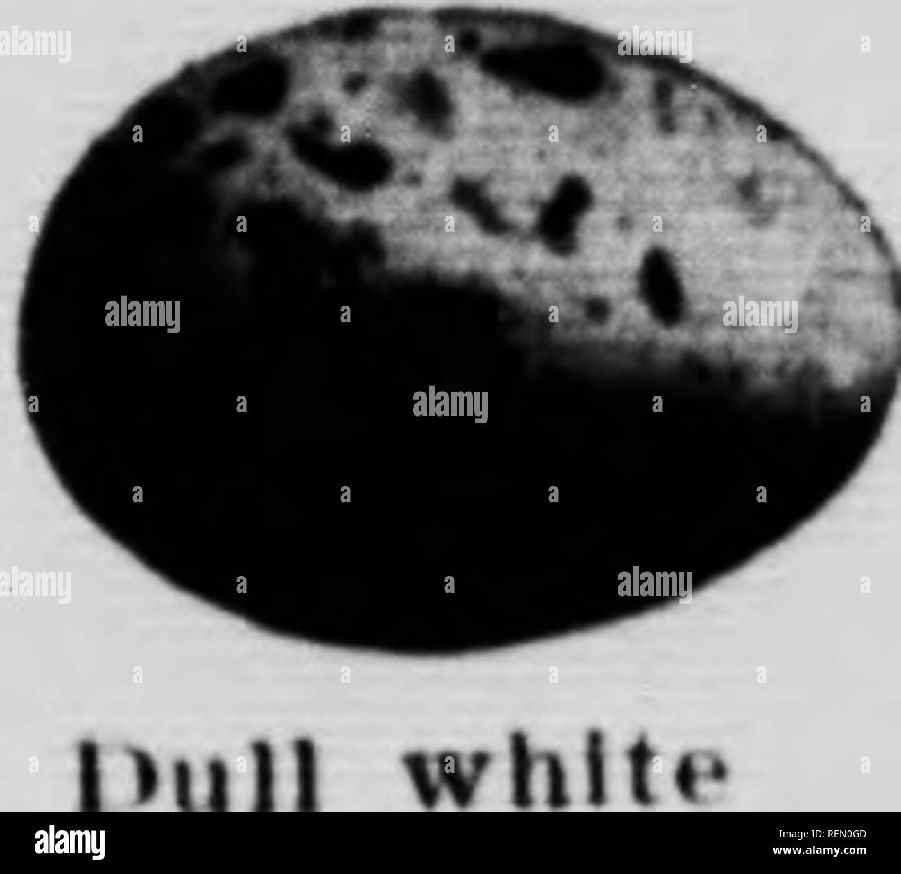 Buff bay river Black and White Stock Photos & Images - Alamy