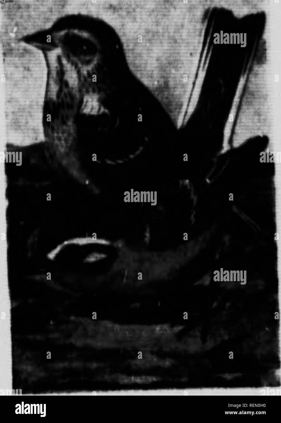 Buff bay river hi-res stock photography and images - Alamy