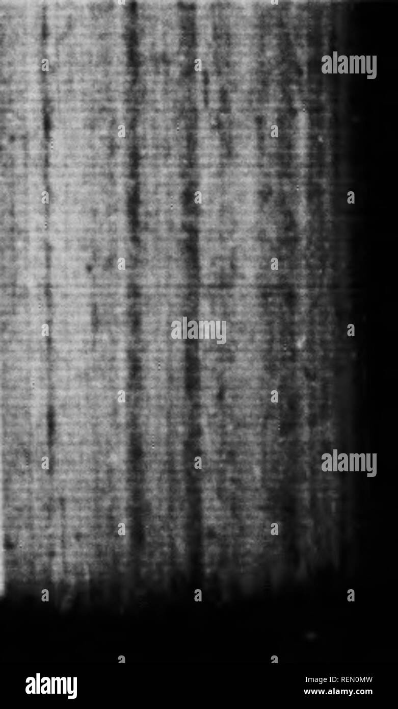 Photo micrography hi-res stock photography and images - Alamy