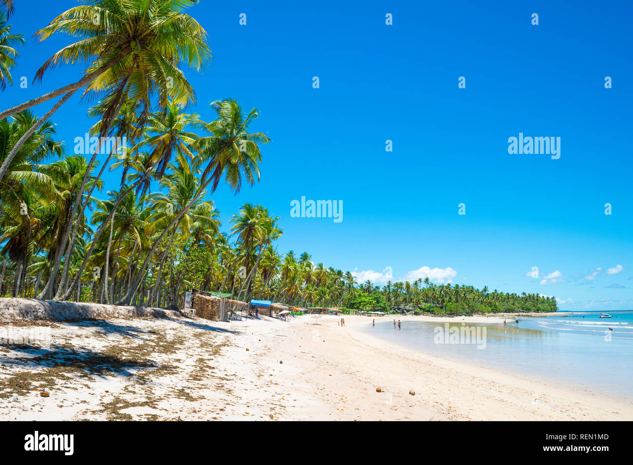 Bright scenic view of Brazilian beach lined with rustic beach shacks ...