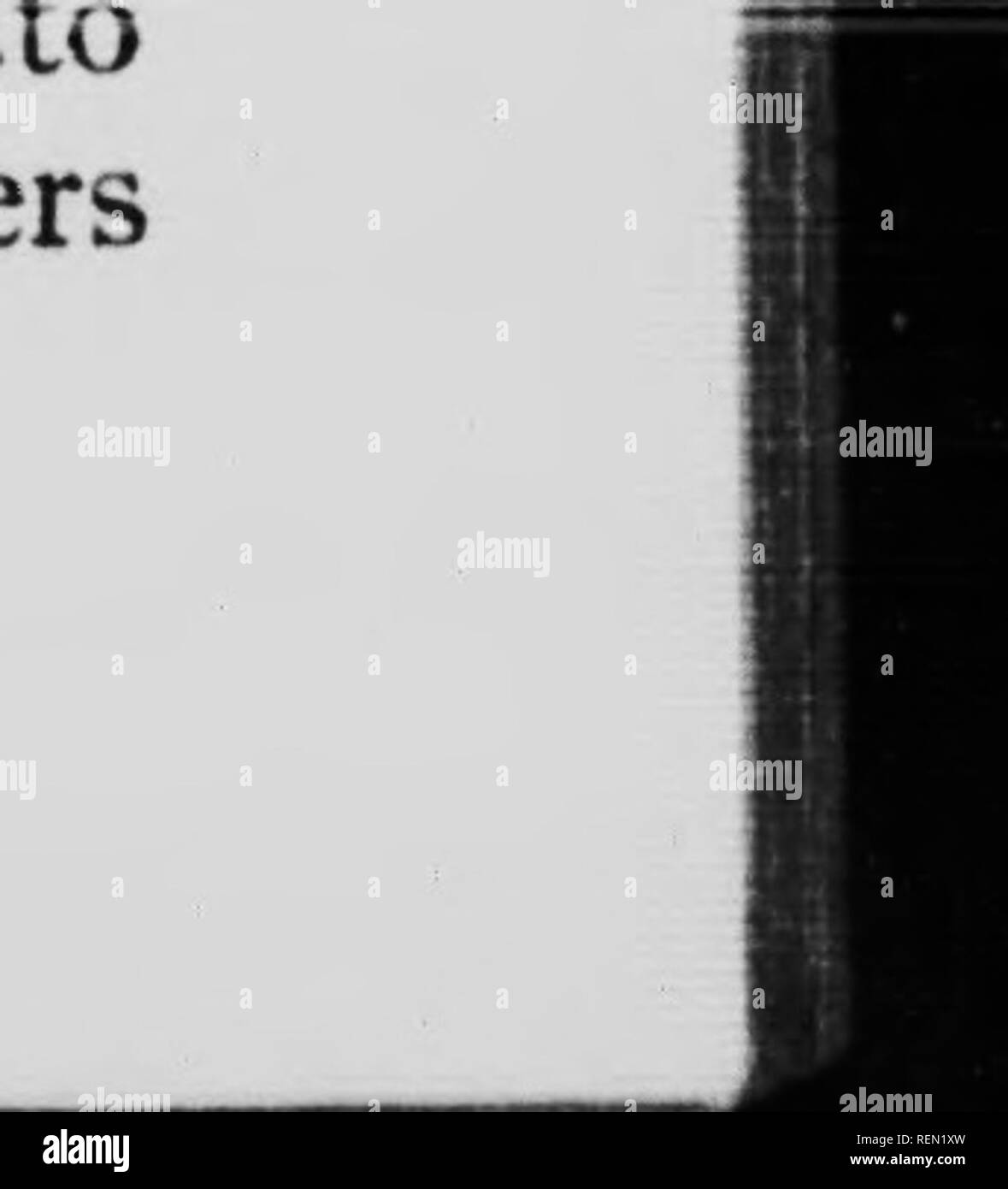 Wild herb identification Black and White Stock Photos & Images - Alamy