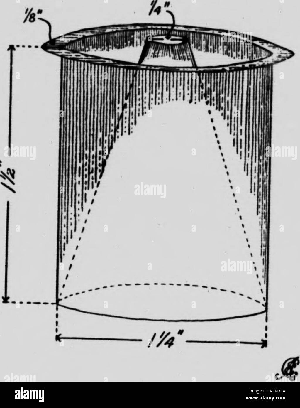 . The pear thrips (Taeniothrips inconsequens Uzel) and its control in ...